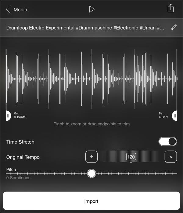 User Manual for Loopy Pro, professional loopstation and DAW