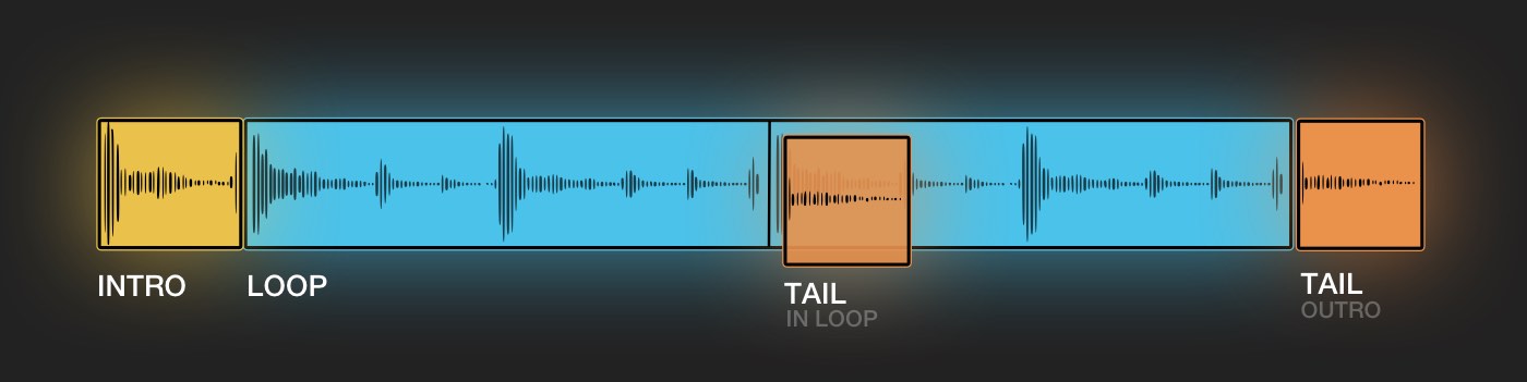 User Manual for Loopy Pro, professional loopstation and DAW