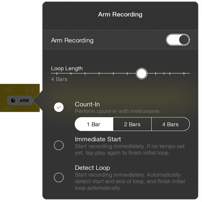 User Manual for Loopy Pro, professional loopstation and DAW