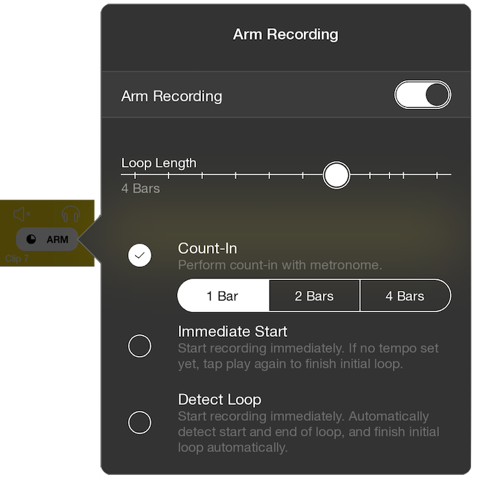 User Manual for Loopy Pro, professional loopstation and DAW