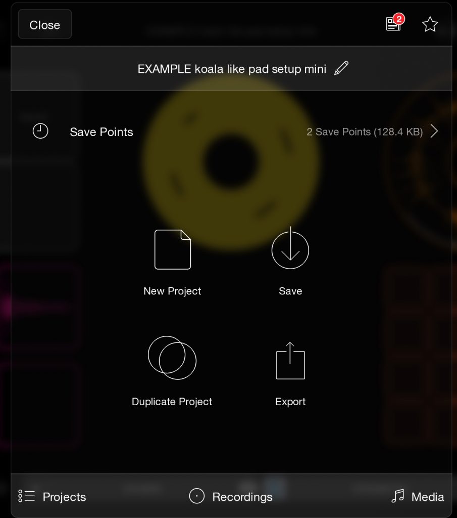 User Manual for Loopy Pro, professional loopstation and DAW