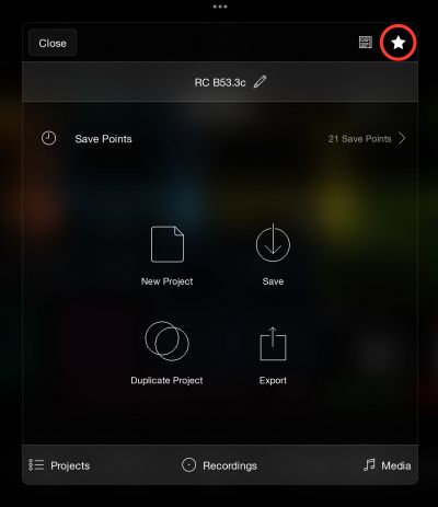 User Manual for Loopy Pro, professional loopstation and DAW